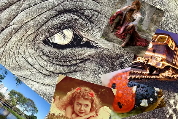 The Latest Photography Trends to Defeat Your Competitors - Photodoto