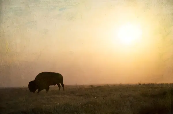 Tony Sweet - The Man of Thousand Talents And One Fantastic Photographer ...