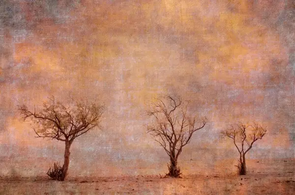 Tony Sweet - The Man of Thousand Talents And One Fantastic Photographer ...