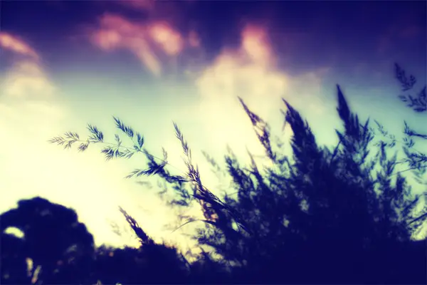 Break the Rules: 100 Lomo Photography Ideas to Get Inspired