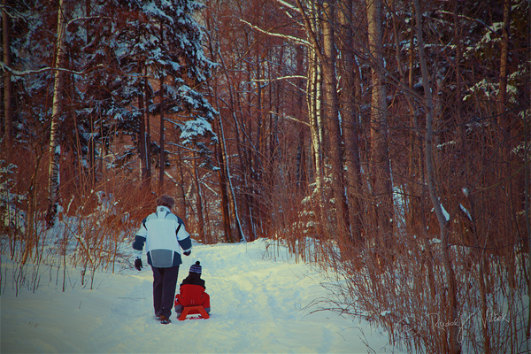 Winter Photography Tips and Ideas to Make You Master the Season - Photodoto