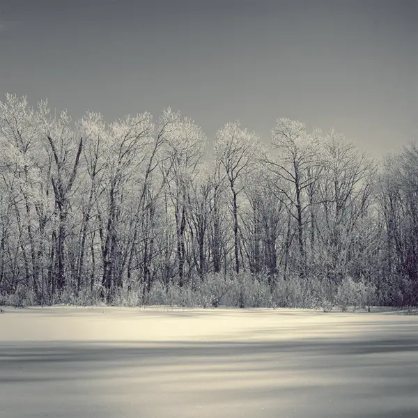 Winter Photography Tips and Ideas to Make You Master the Season - Photodoto