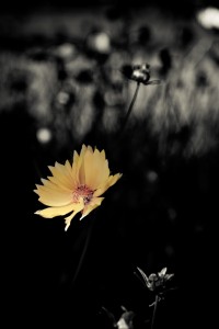 Infamous Examples of Really Bad Edits You Could Do to Your Pictures